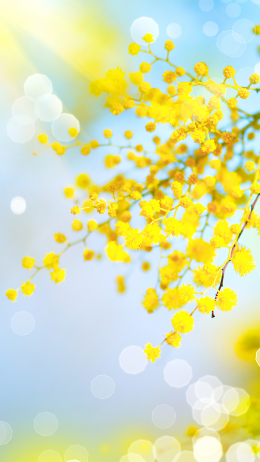 hello kids – HelloKids.gr